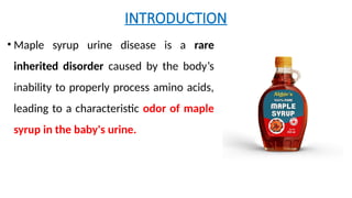 maple syrup urine disease in children.pptx