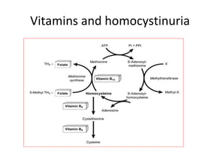 Maple Syrup Urine Disease Pathway