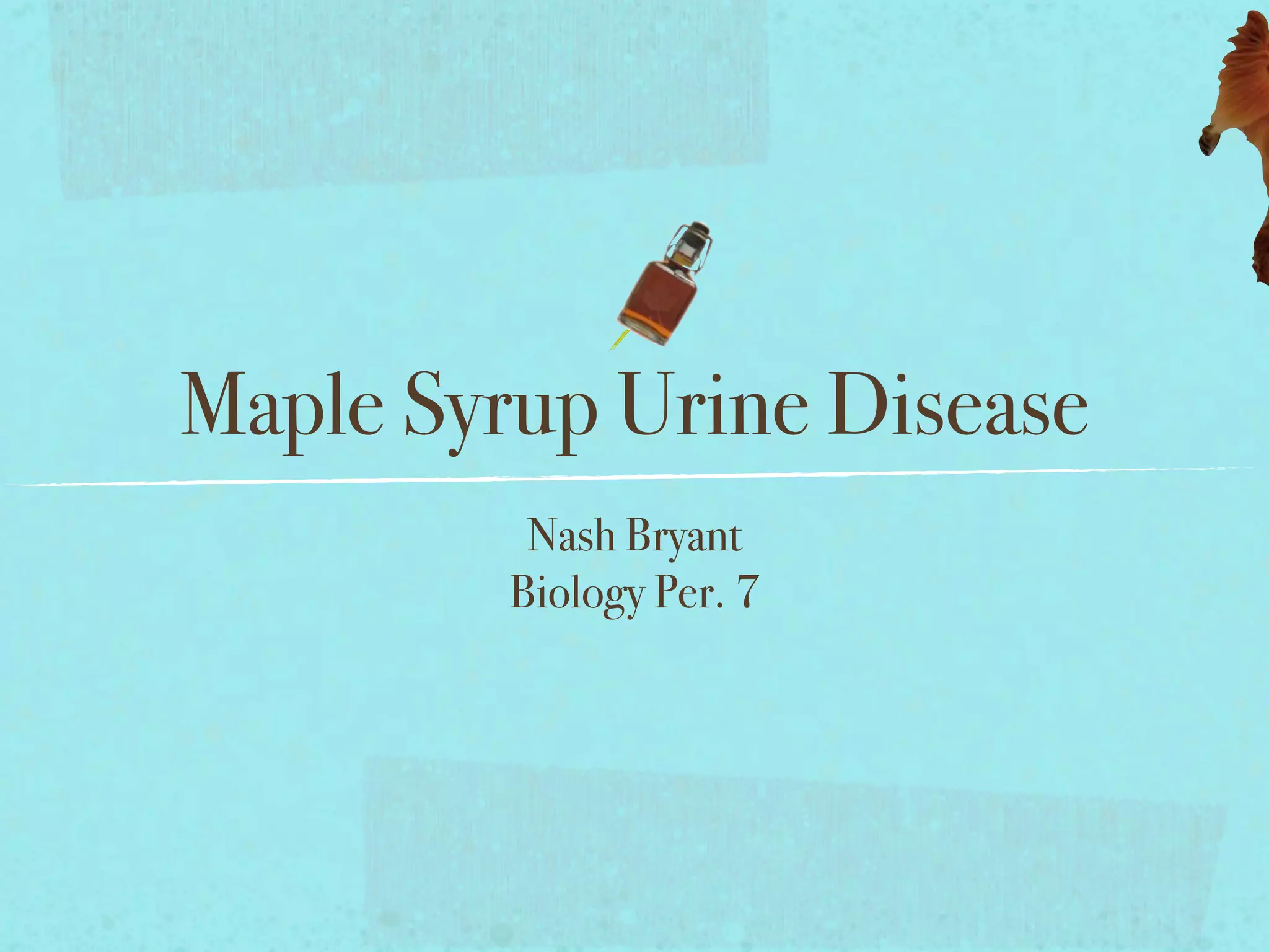 Maple Syrup Urine Disease Ppt