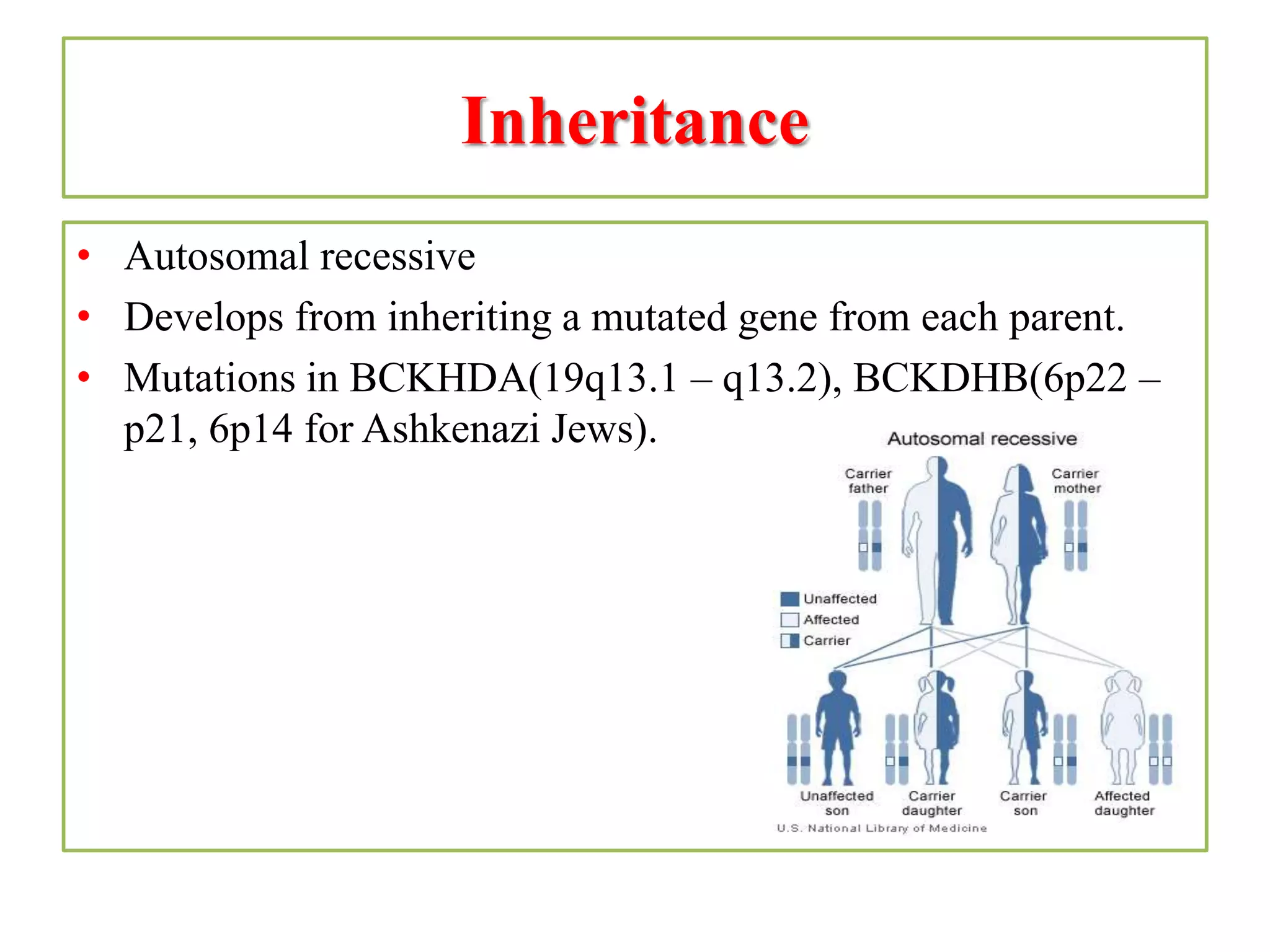 Maple syrup urine disease by Jimcale Xamari | PPTX