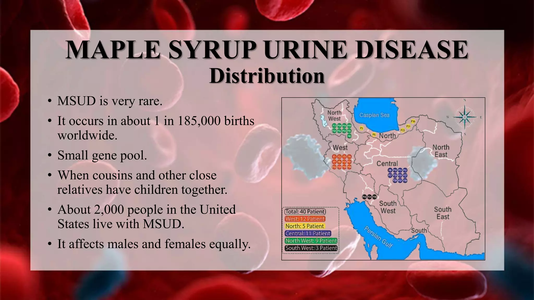 Maple Syrup Urine Disease | PPTX
