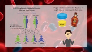 Maple Syrup Urine Disease | PPTX