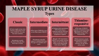 Maple Syrup Urine Disease | PPTX