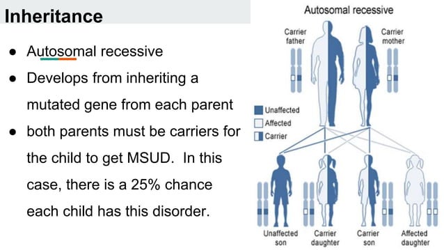 Maple syrup urine disease (msud) | PPTX