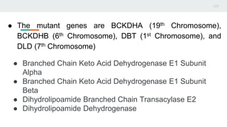 Maple syrup urine disease (msud) | PPTX