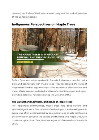 Maple Trees- A Symbol of Canadian Identity.pdf