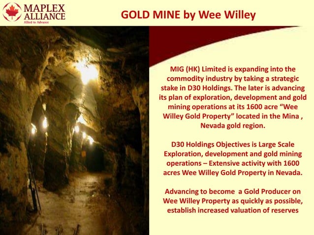 Maplex alliance (1) | PPT