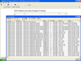 MapMate wildlife recording database | PPT
