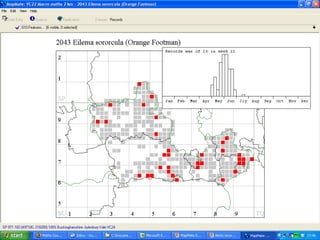 MapMate wildlife recording database | PPT