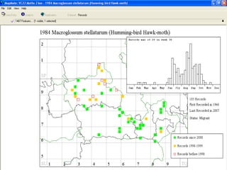 MapMate wildlife recording database | PPT