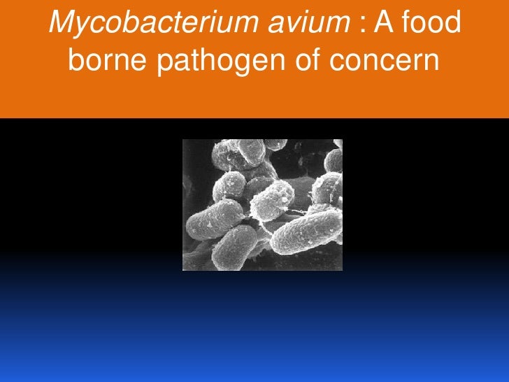 Mycobacterium Avium