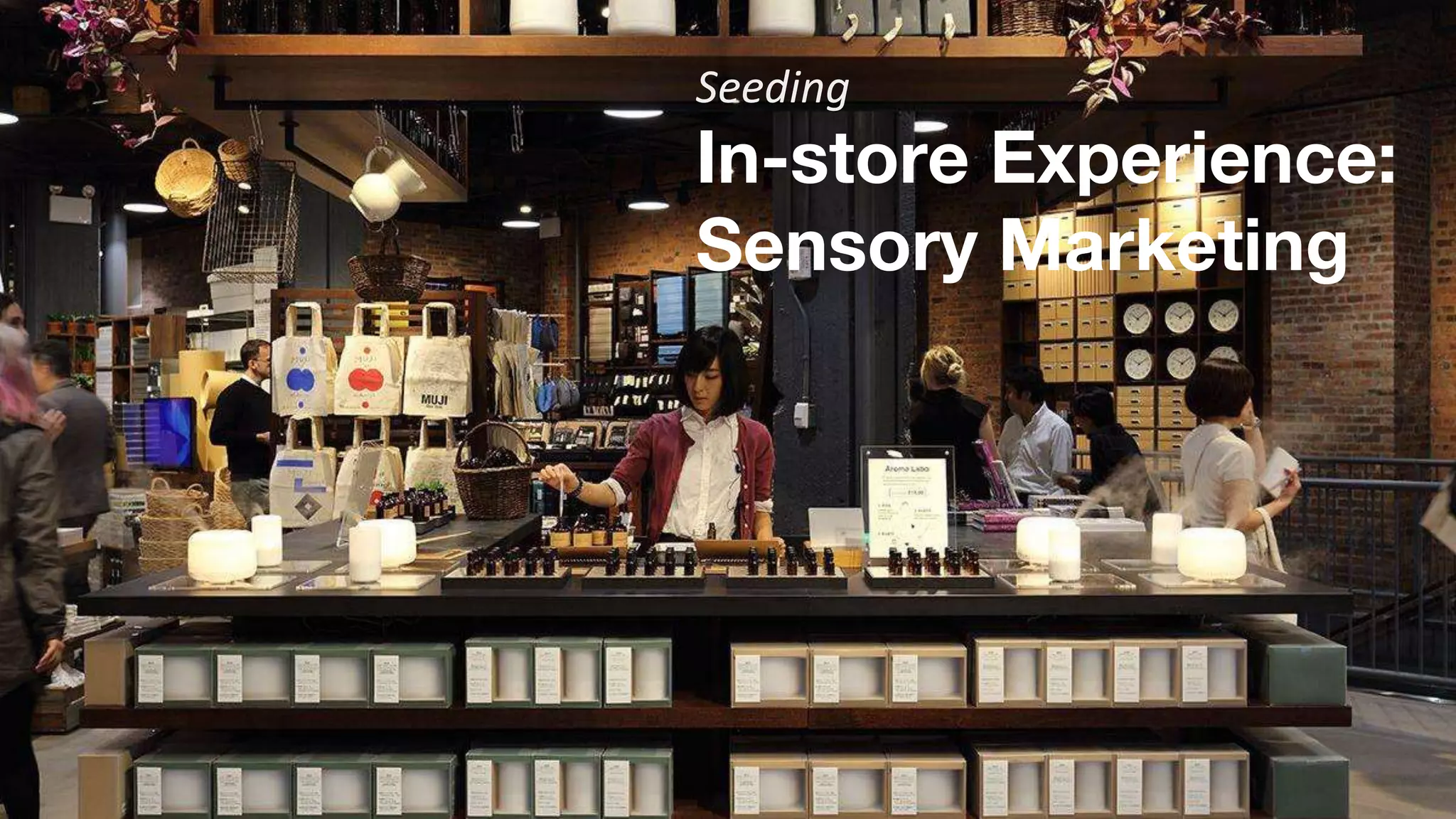 Media Plan - MUJI | PPTX