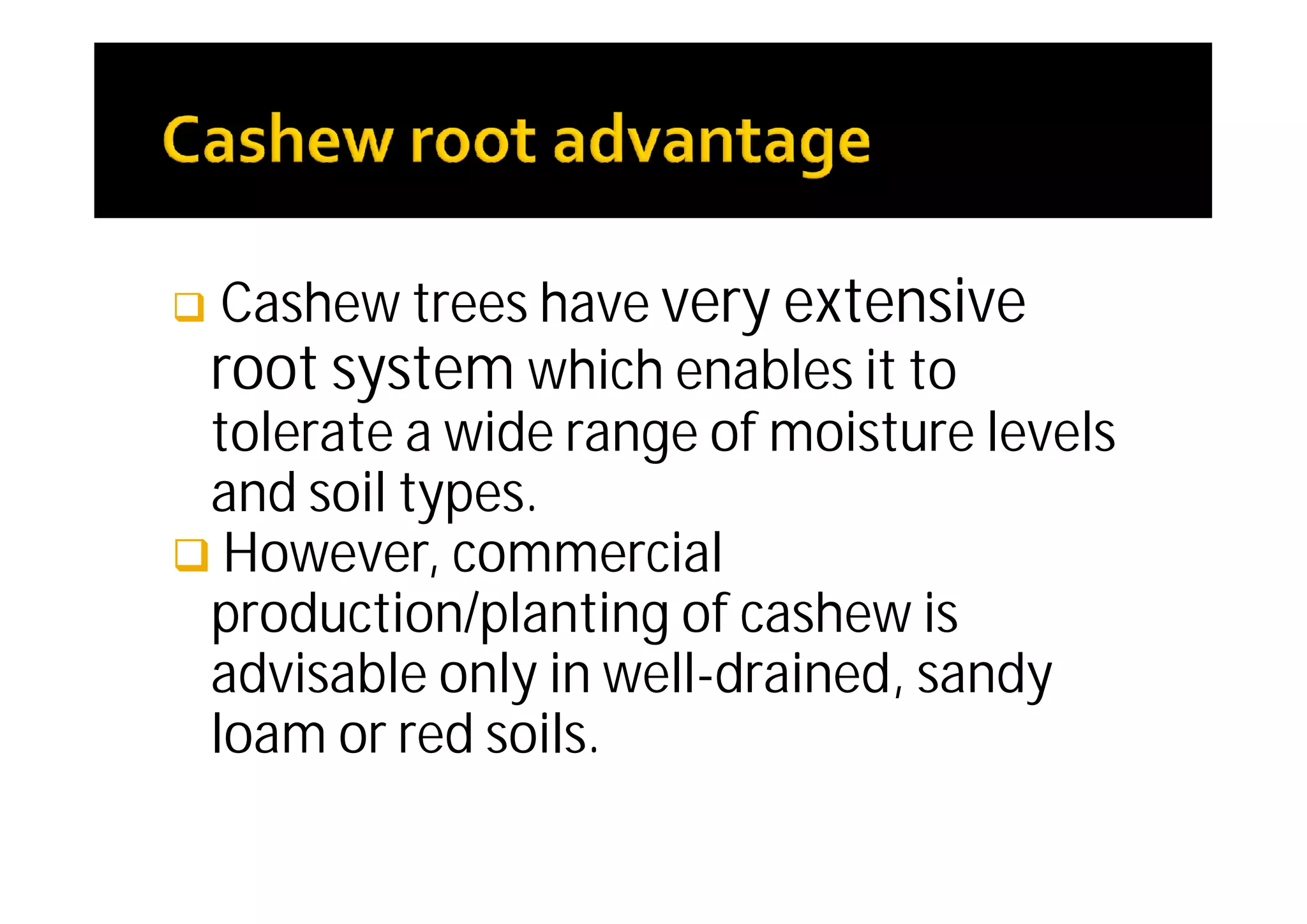 Map of cashew growing areas in nigeria by sotonye anga | PDF