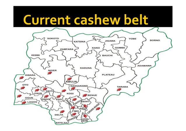 Map of cashew growing areas in nigeria by sotonye anga | PDF