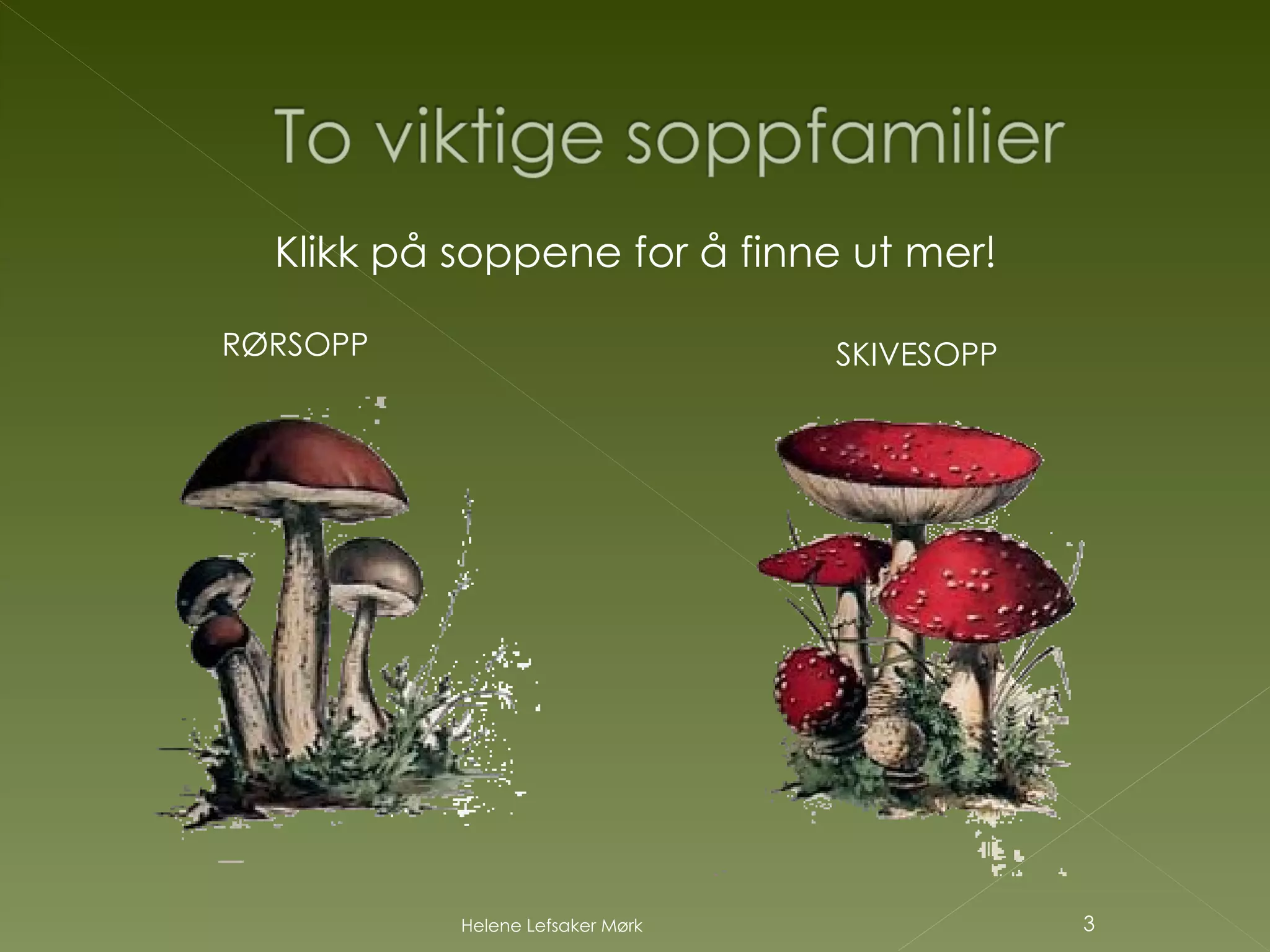 Mappeoppgave 1 | PPT