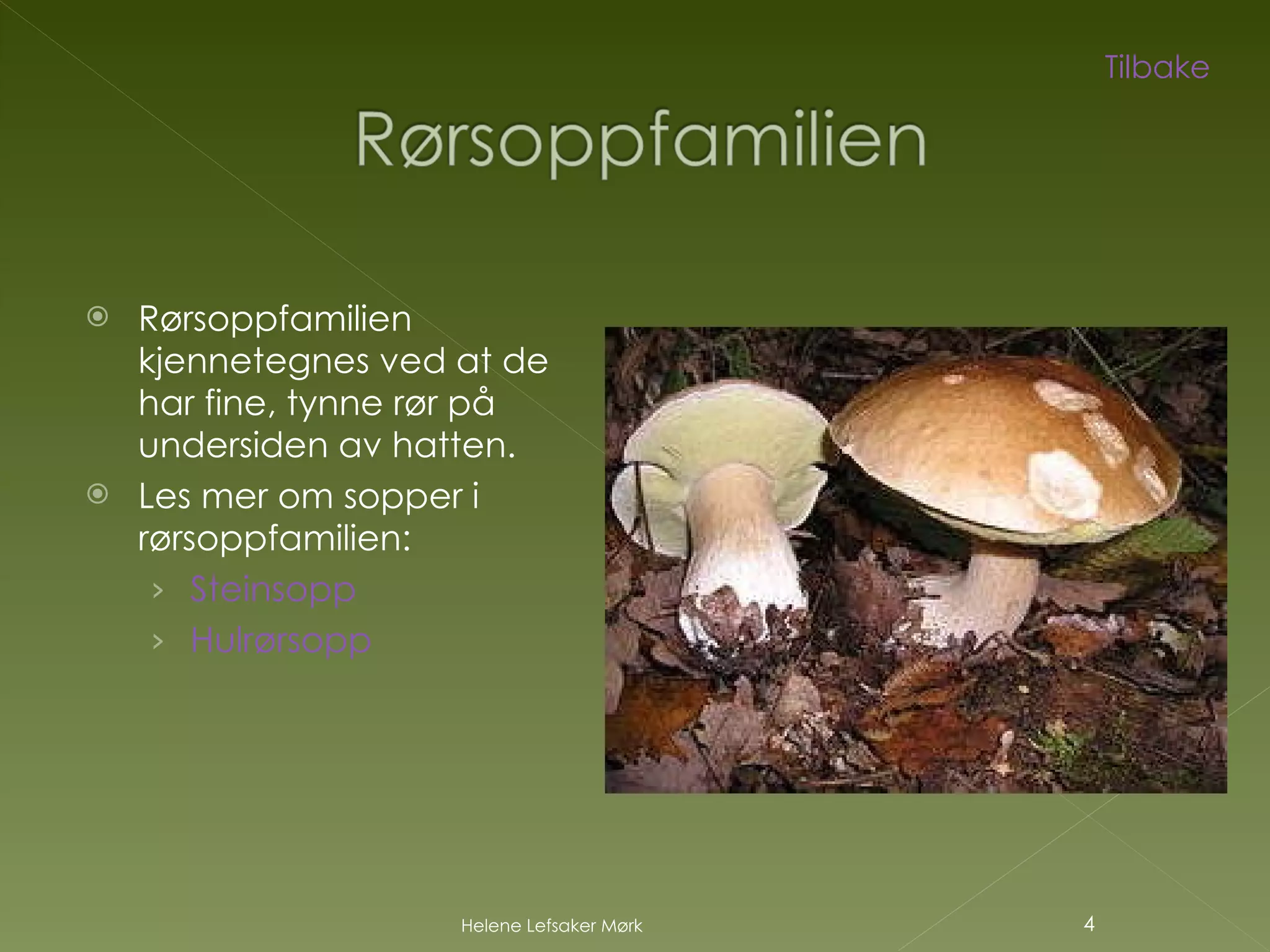 Mappeoppgave 1 | PPT