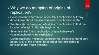 Mapping of origins of replication | PPTX