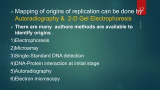 Mapping of origins of replication | PPTX