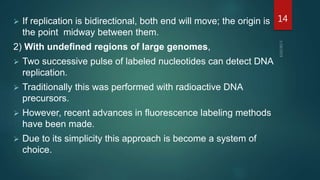Mapping of origins of replication | PPTX