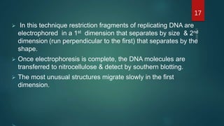 Mapping of origins of replication | PPTX
