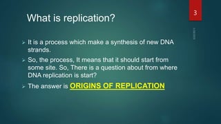 Mapping of origins of replication | PPTX | Biological Sciences | Science