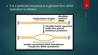 Mapping of origins of replication | PPTX