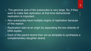 Mapping of origins of replication | PPTX