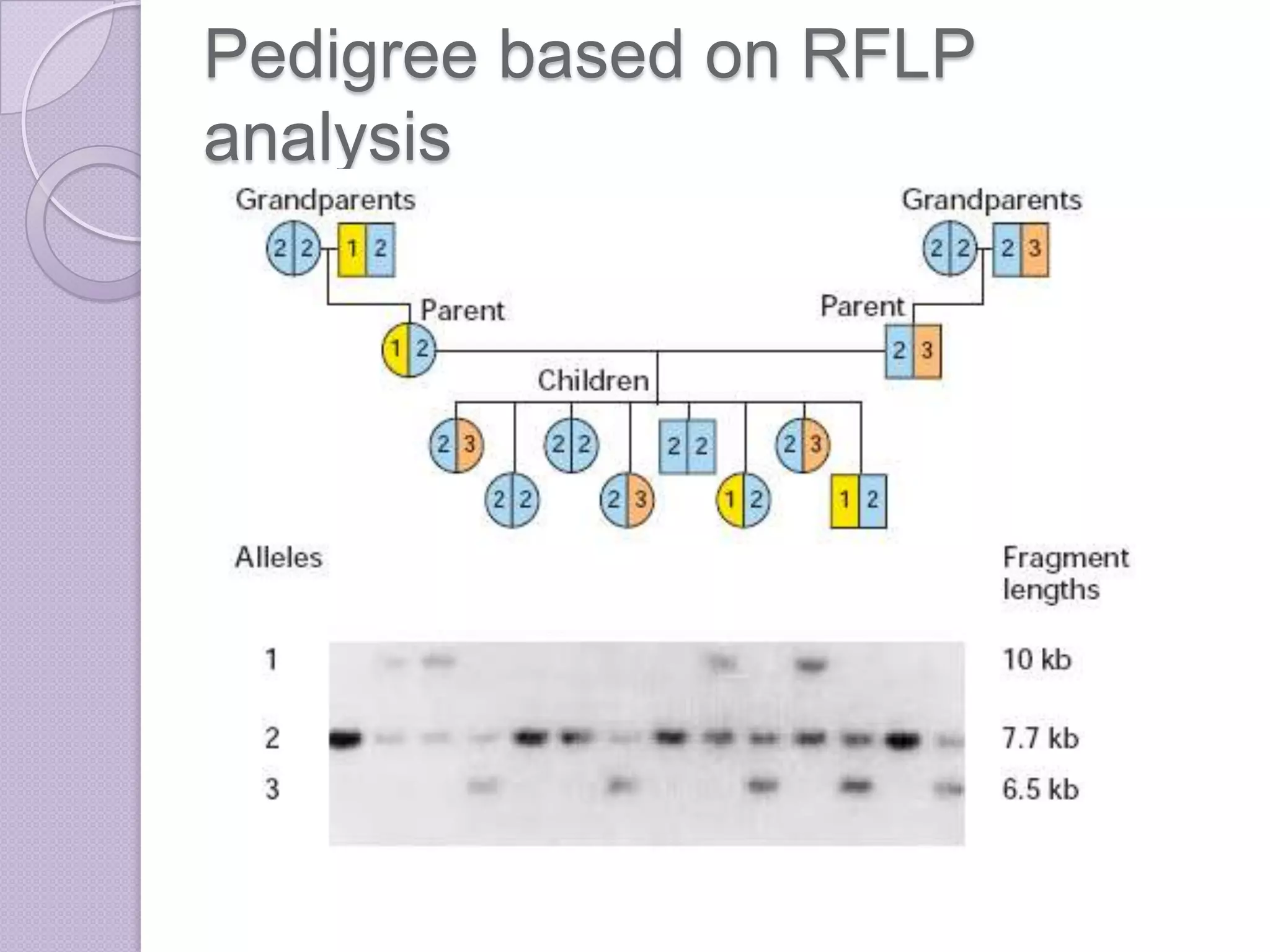 Genome Mapping | PPTX