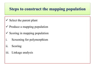 Mapping | PPTX