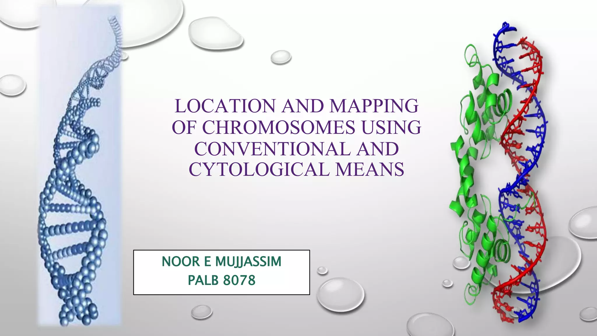 Location and mapping of chromosomes using conventional and cytological ...