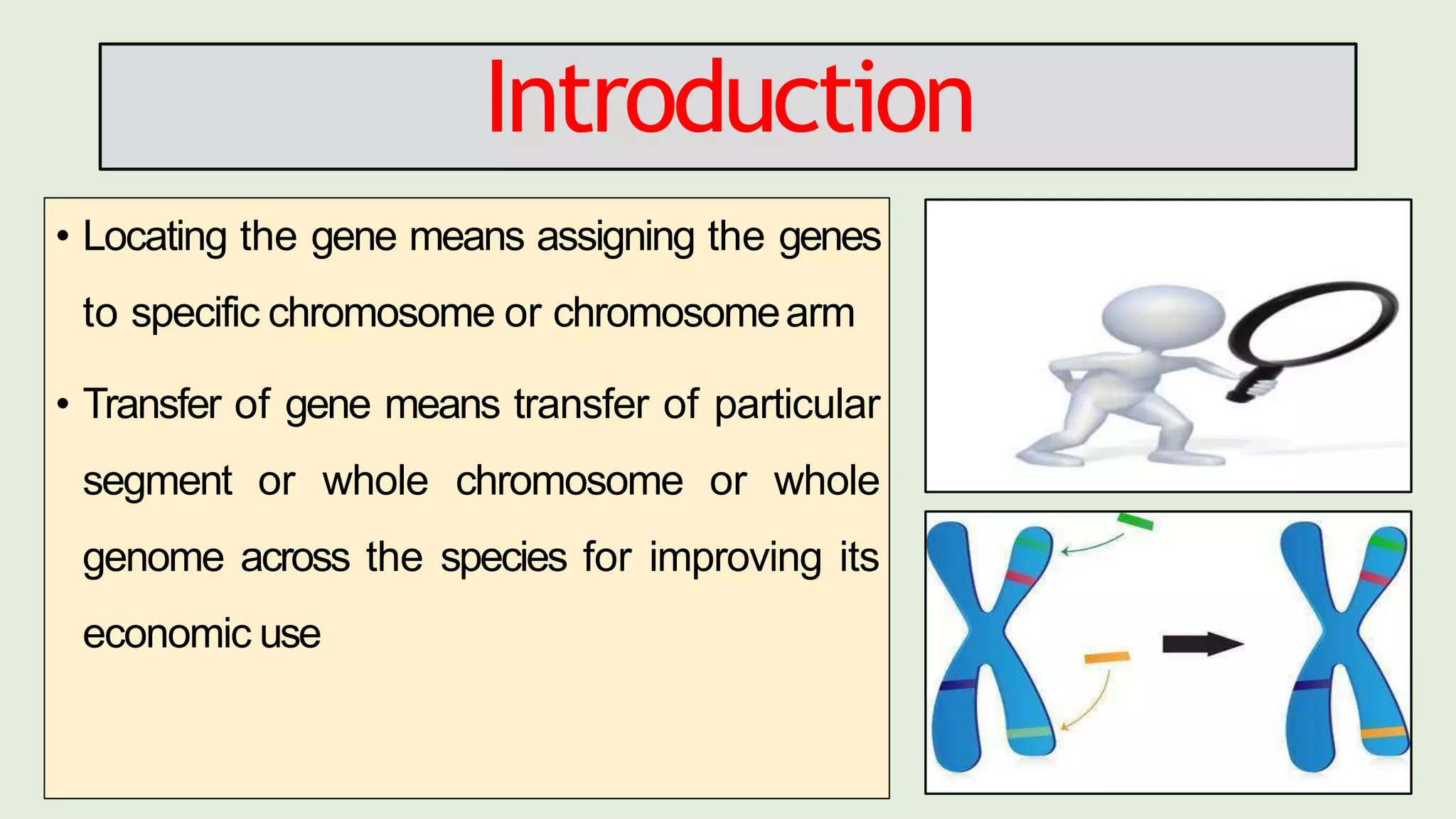 Location and mapping of chromosomes using conventional and cytological ...