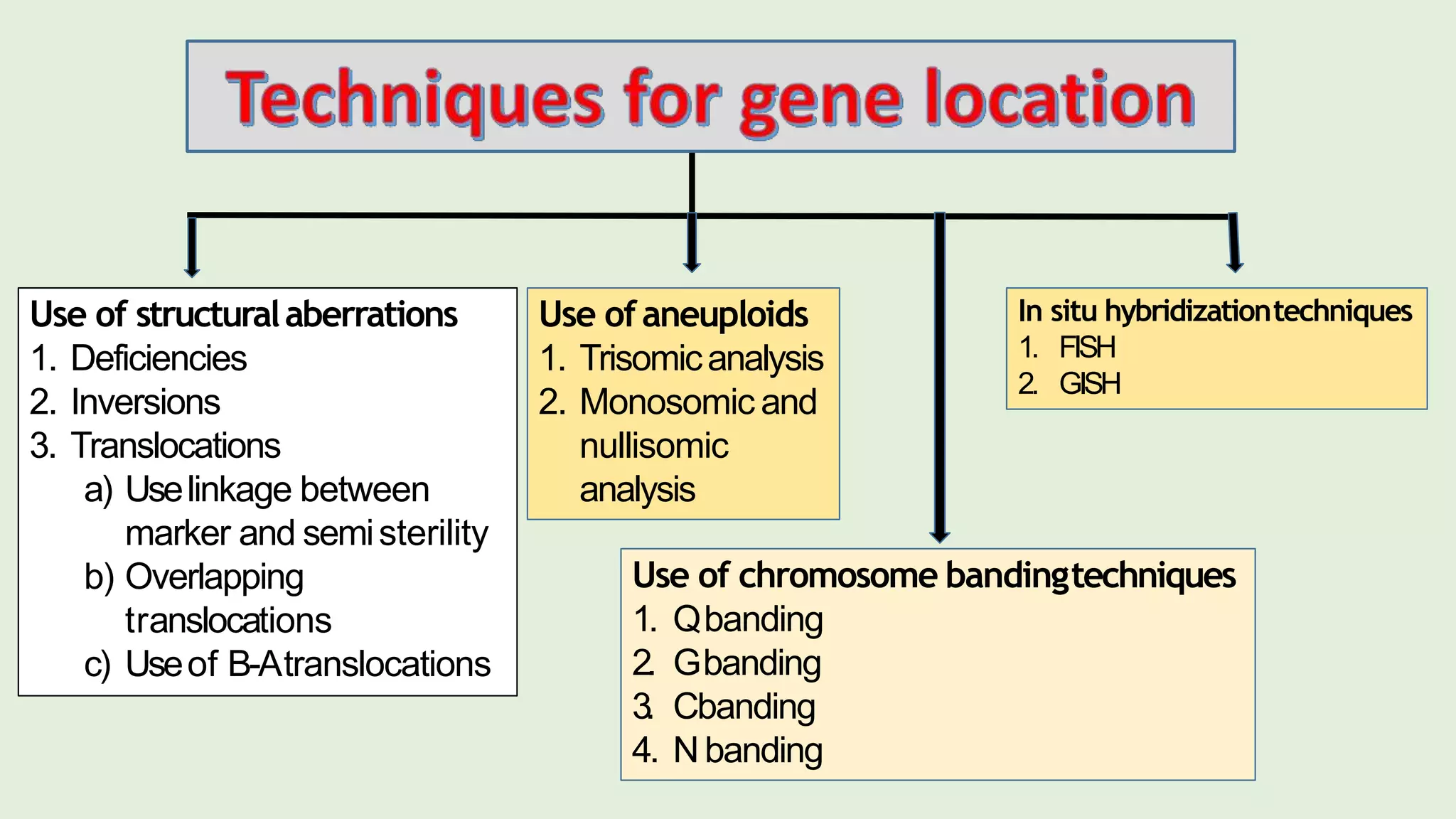 Location and mapping of chromosomes using conventional and cytological ...