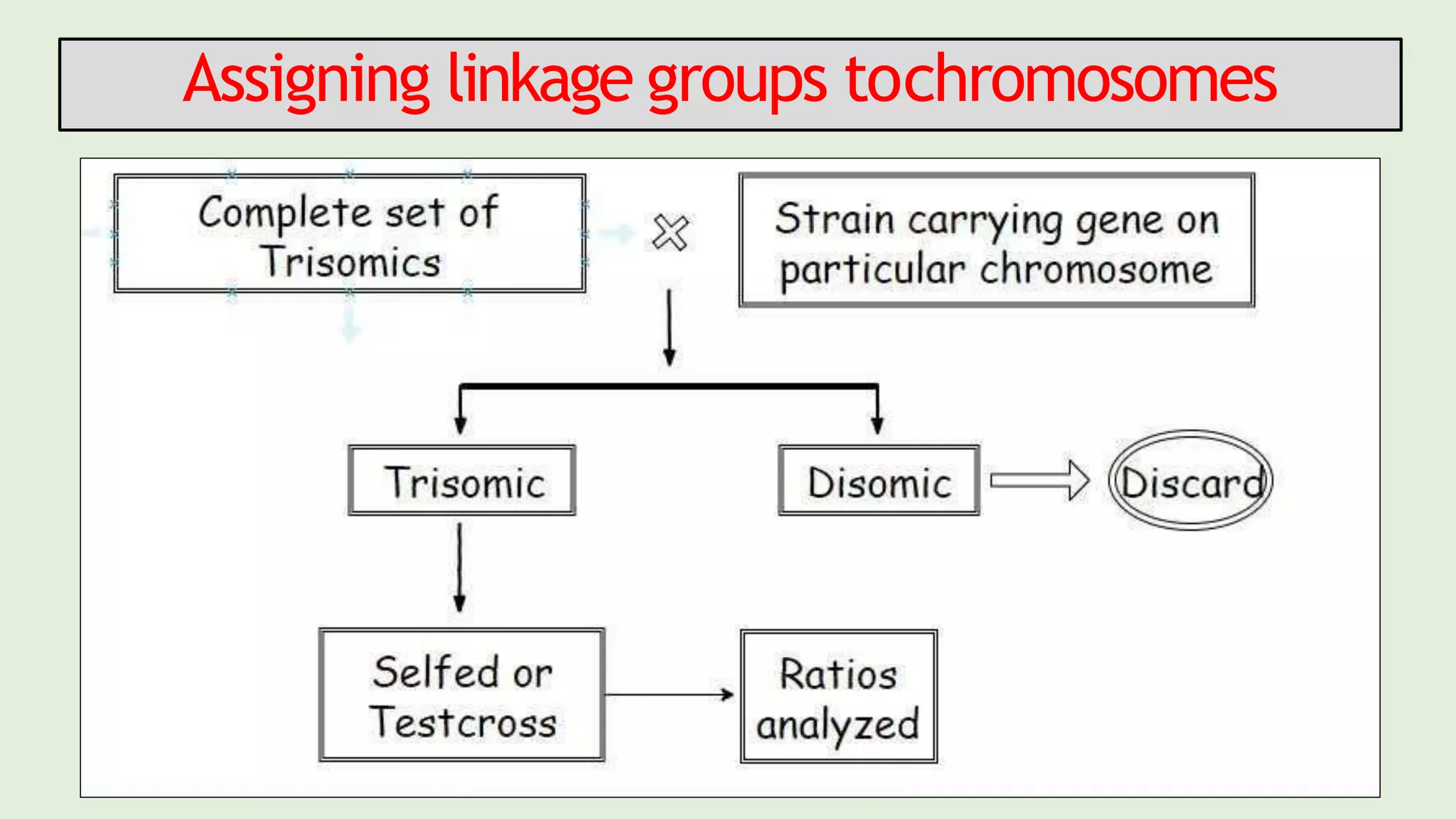 Location and mapping of chromosomes using conventional and cytological ...