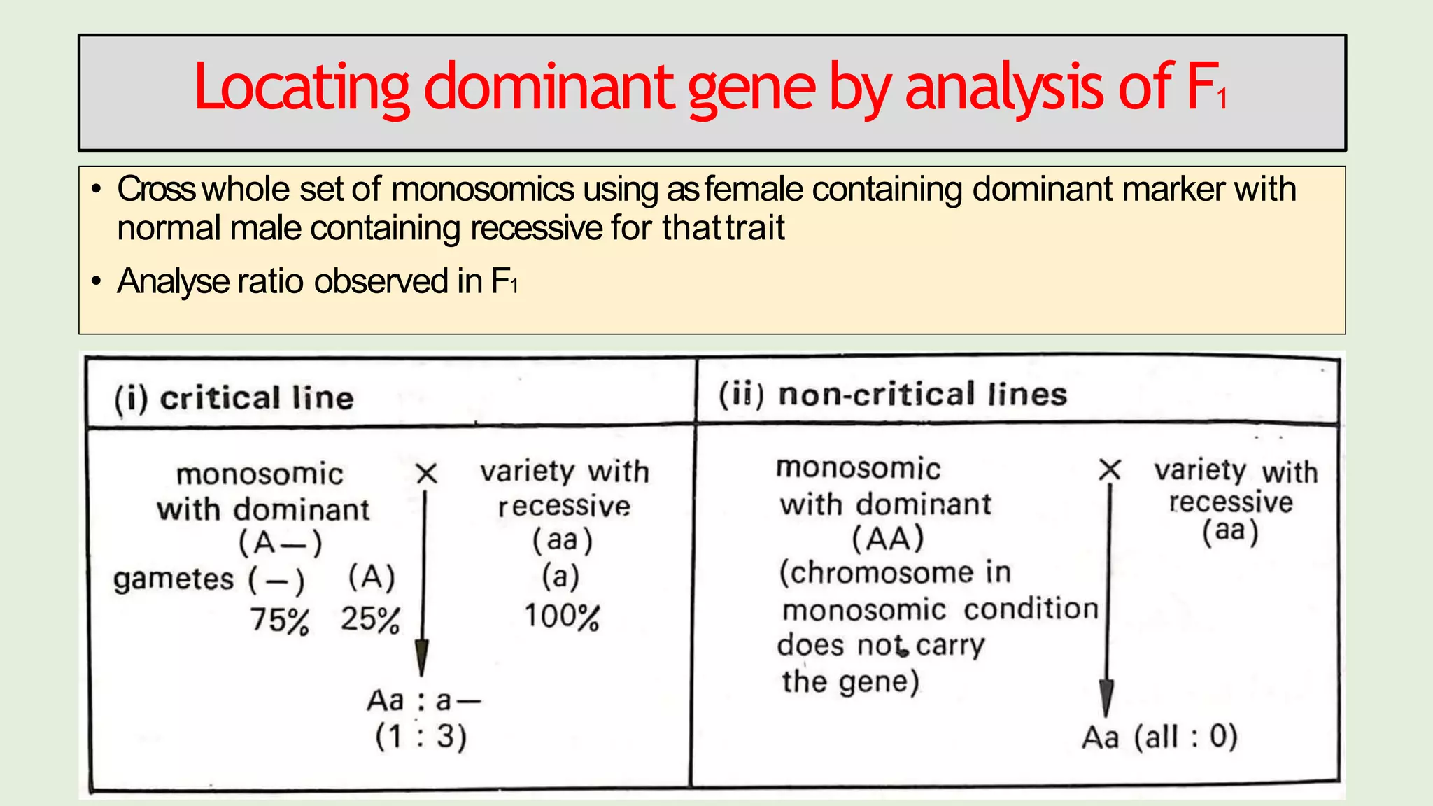 Location and mapping of chromosomes using conventional and cytological ...