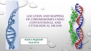 Location and mapping of chromosomes using conventional and cytological ...