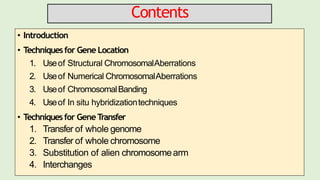 Location and mapping of chromosomes using conventional and cytological ...