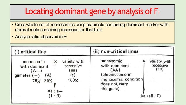 Location and mapping of chromosomes using conventional and cytological ...