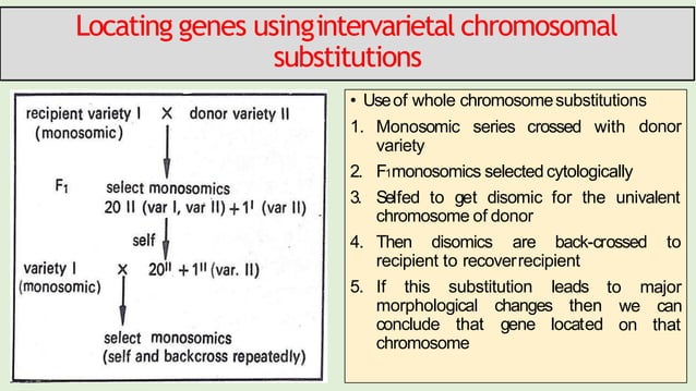 Location and mapping of chromosomes using conventional and cytological ...
