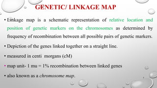 Location and mapping of chromosomes using conventional and cytological ...