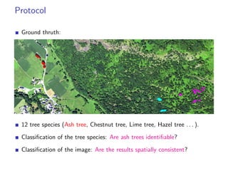 Mapping Ash Tree Colonization in an Agricultural Moutain Landscape ...
