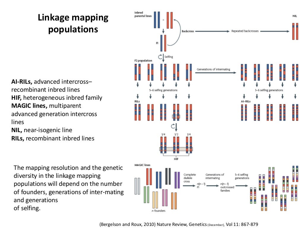 Mapping And Association Mapping