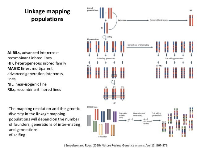 Mapping and association mapping