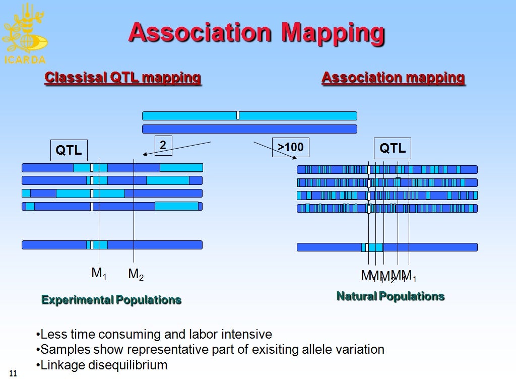 Mapping And Association Mapping