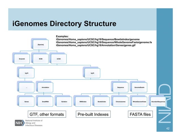 NGS: Mapping and de novo assembly | PDF | Operating Systems | Computer ...
