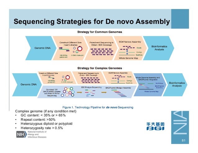 Images of De novo - JapaneseClass.jp