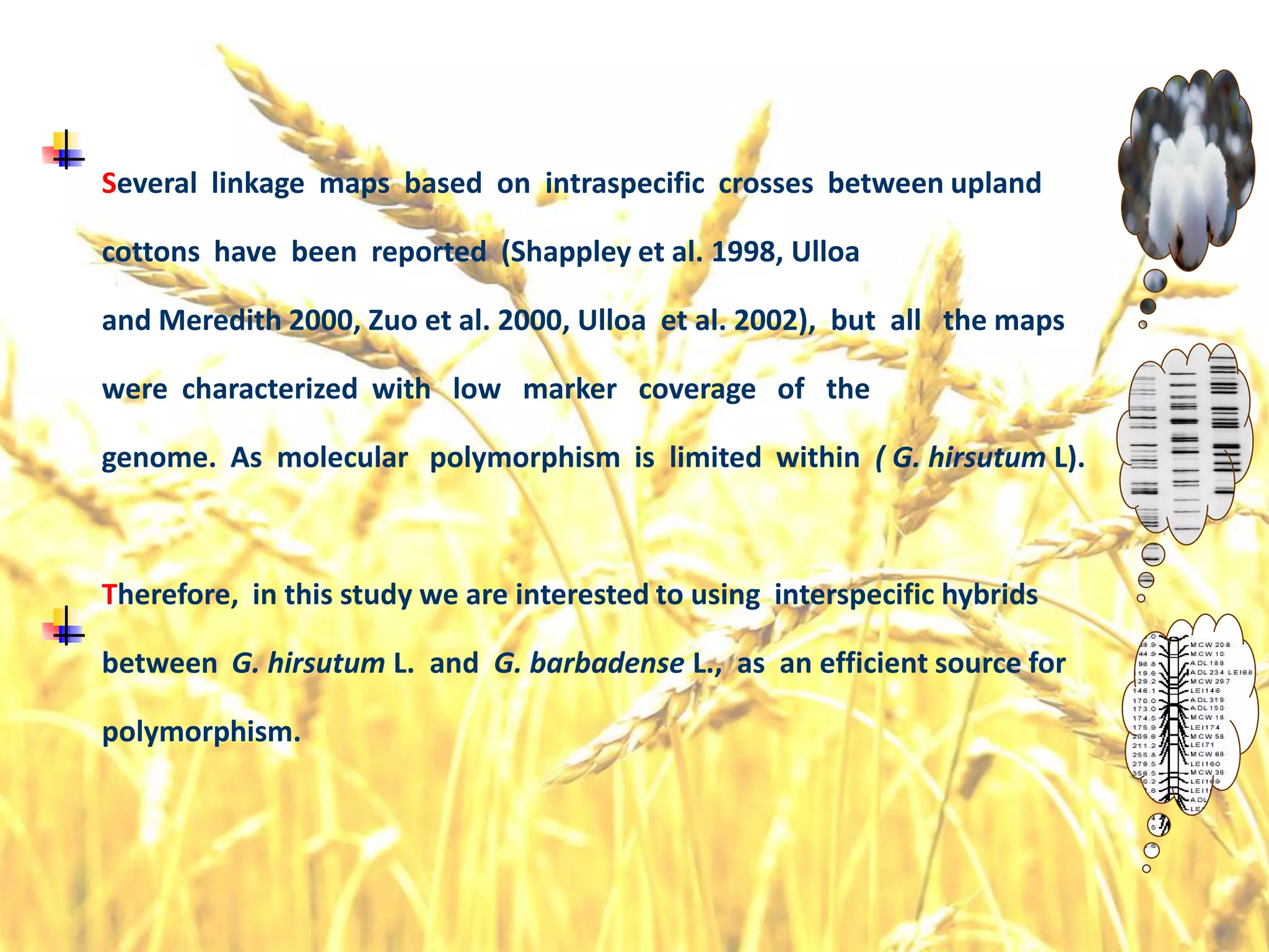 Mapping and QTL | PDF