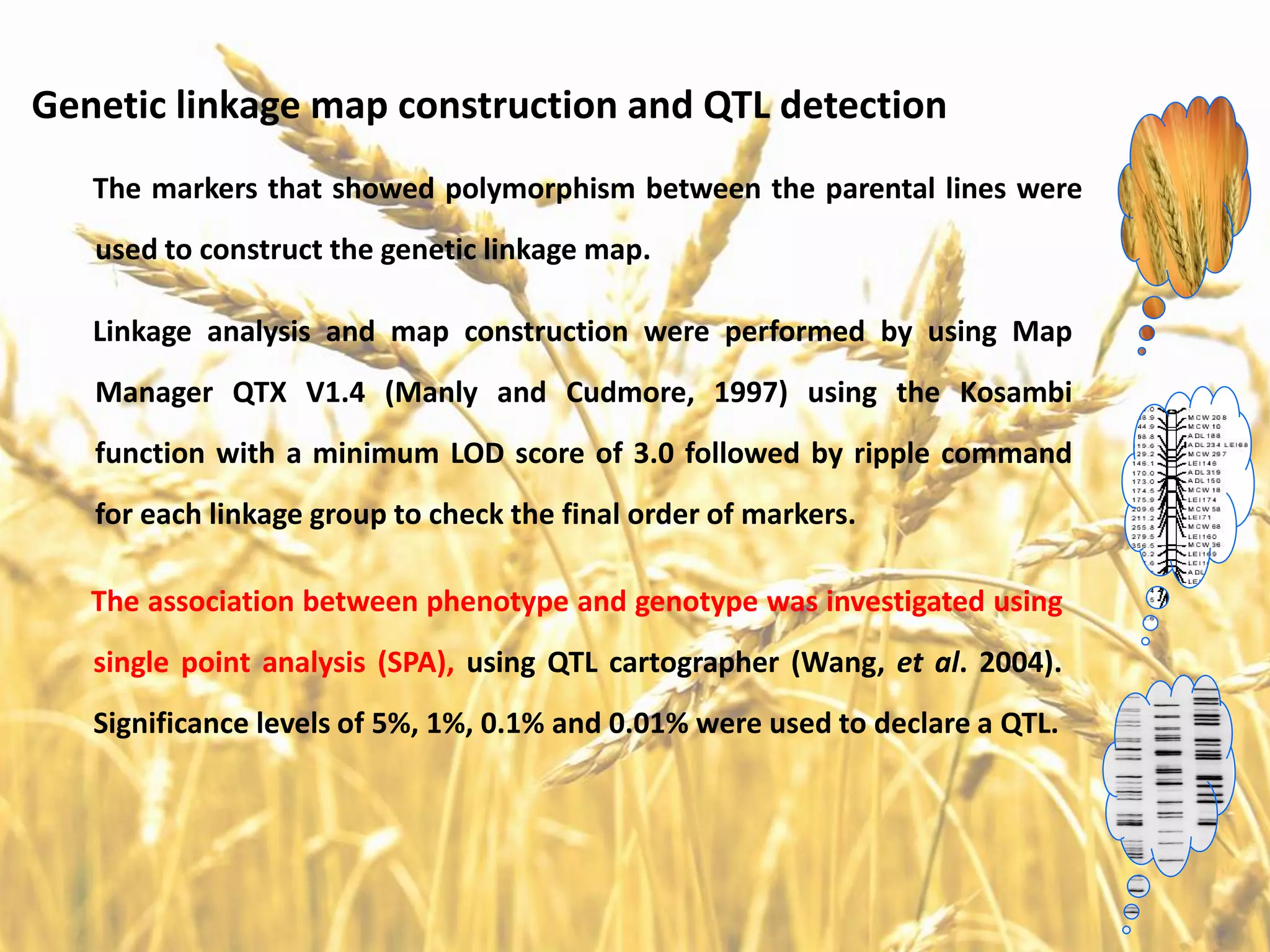 Mapping and QTL | PDF