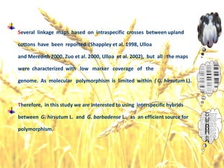 Mapping and QTL | PDF