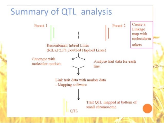 Mapping and QTL Mapping and QTL
