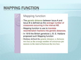 Mapping application | PPTX